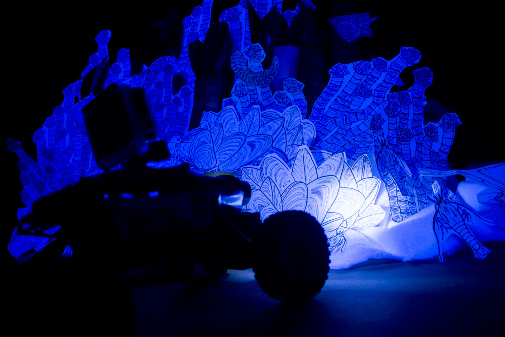 Remote Sensing Deep Ocean Education Project